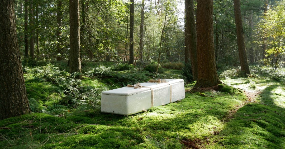Loop Living Cocoon: begraven worden in een levende… | Duurzaamheid